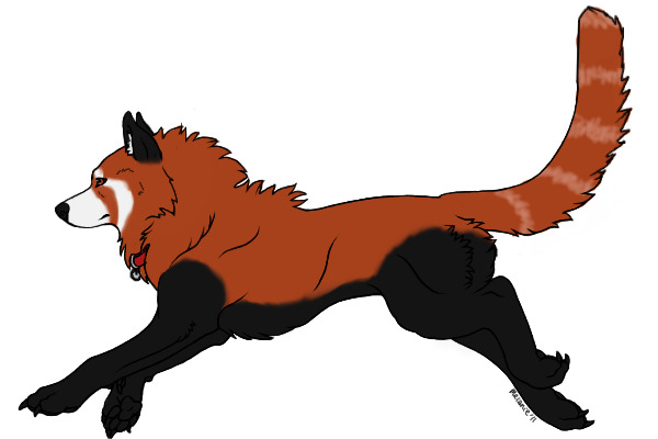 View topic - Red Panda Wolf - Chicken Smoothie