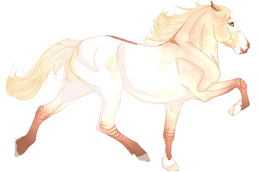 View topic - #4665 Flaxen Dappled Apricot Dun Pangare Pintaloosa ...