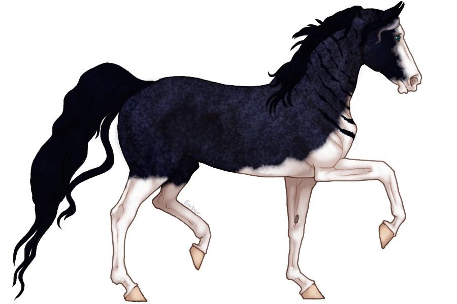 View topic - #247 Blue Roan Splash with Brindle - Chicken Smoothie