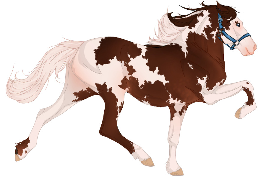 View topic - #6988 chestnut frame/tobiano - Chicken Smoothie