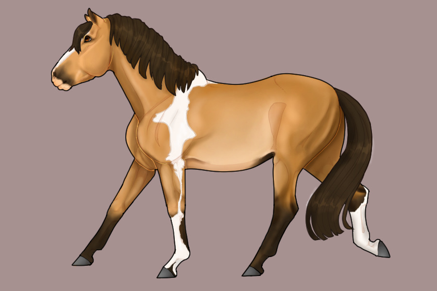 View topic - Horse - Chicken Smoothie