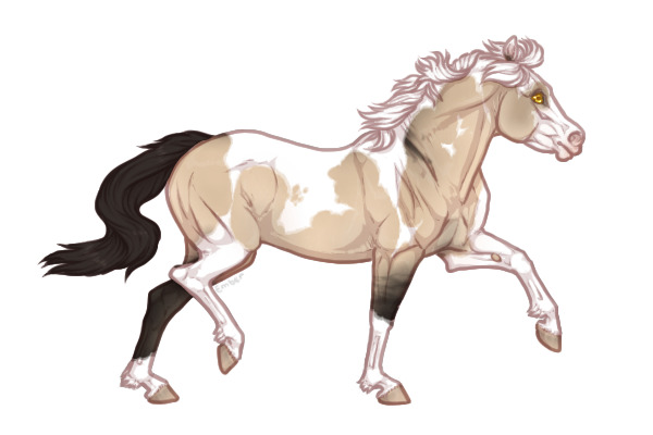 View topic - FWP | 351 | dunskin tobiano frame overo - Chicken Smoothie