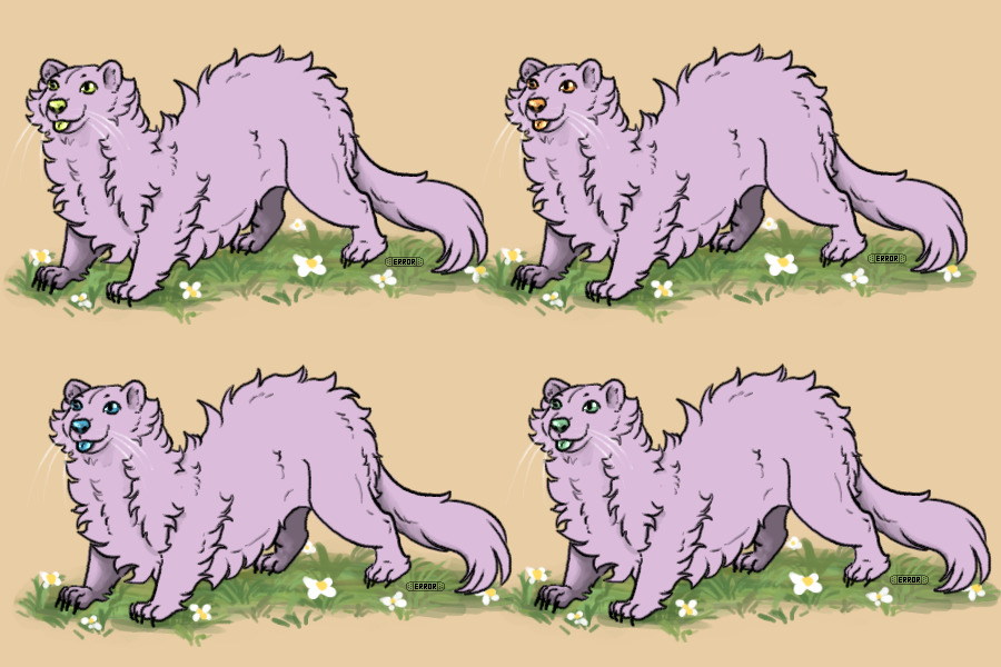 View topic - Ferret Adoptable Base - Chicken Smoothie