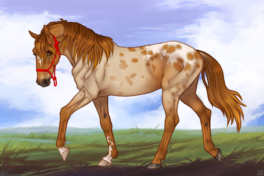 View topic - MC Mustang #000 - Chicken Smoothie