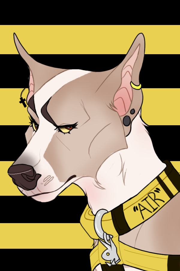 View topic - take a moment, count my guap - Chicken Smoothie