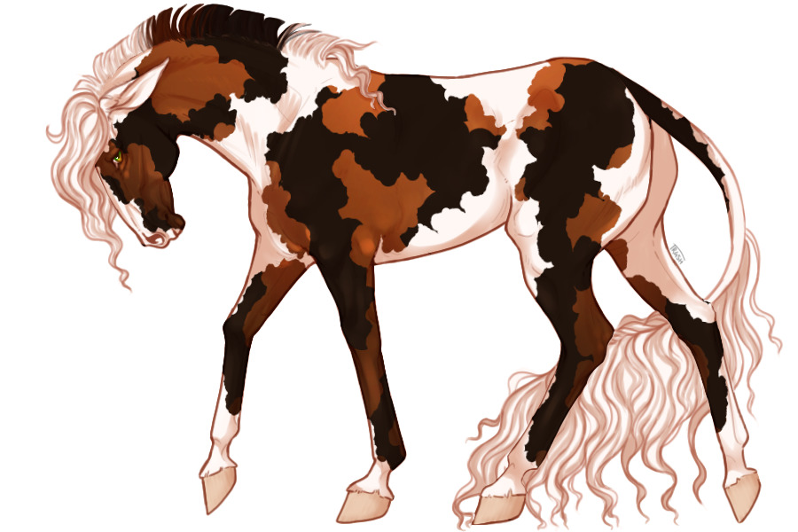 View topic - SWE #486 - Wild Bay Calico Tobiano - Chicken Smoothie