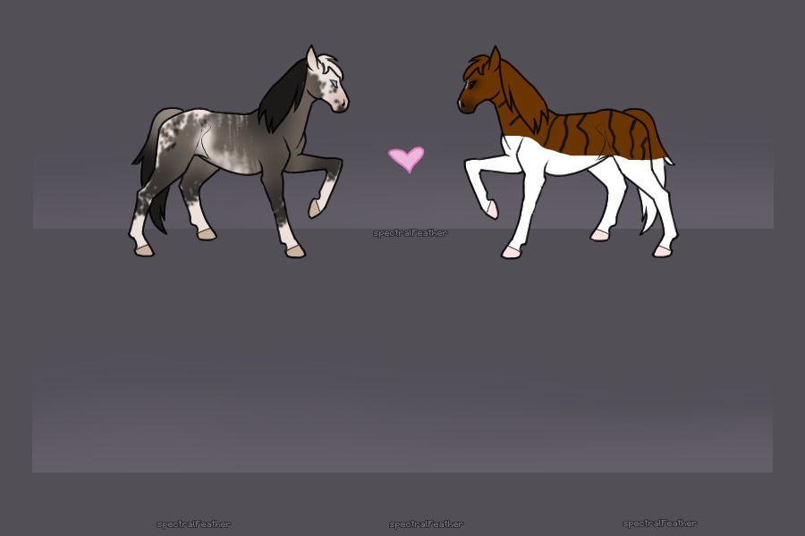 View topic - Dun? Appy x chestnut brindle with splash - Chicken Smoothie