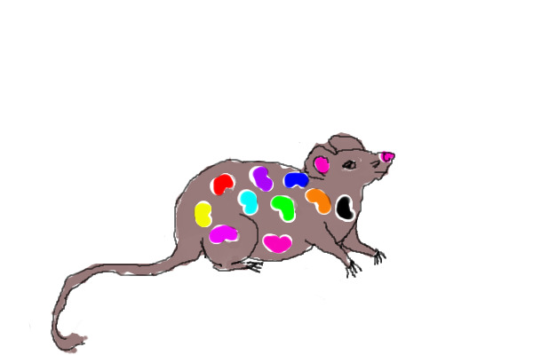 View topic - fat jelly bean rat - Chicken Smoothie